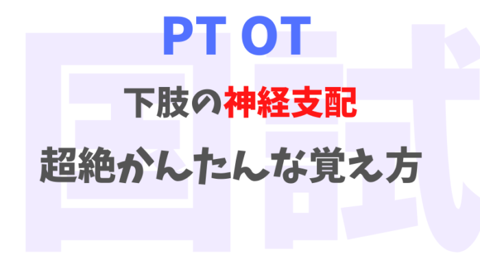 実習で肢長・周径測定する方法とコツ Ptsのための臨床実習・国家試験対策ノート