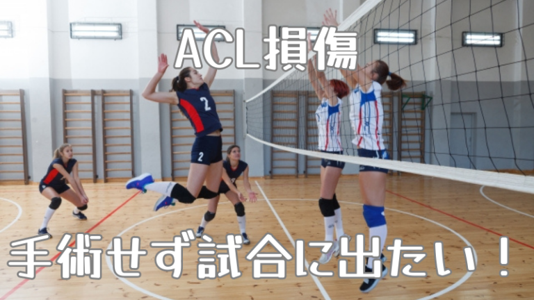 臨床実習でよく使うOKCとCKCって何が違うの？ | PTSのための臨床実習・国家試験対策ノート