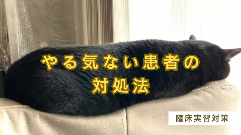 臨床実習でよく使うOKCとCKCって何が違うの？ | PTSのための臨床実習・国家試験対策ノート